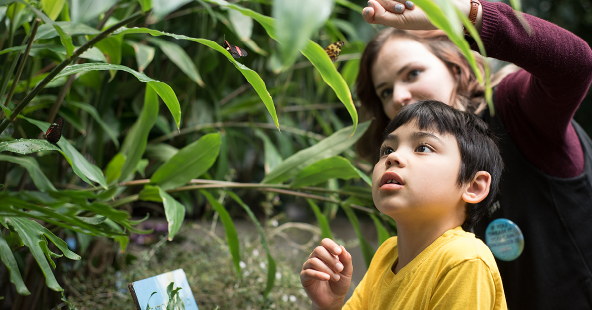 Pacific Science Center Tropical Butterfly House | Pendleton and ...